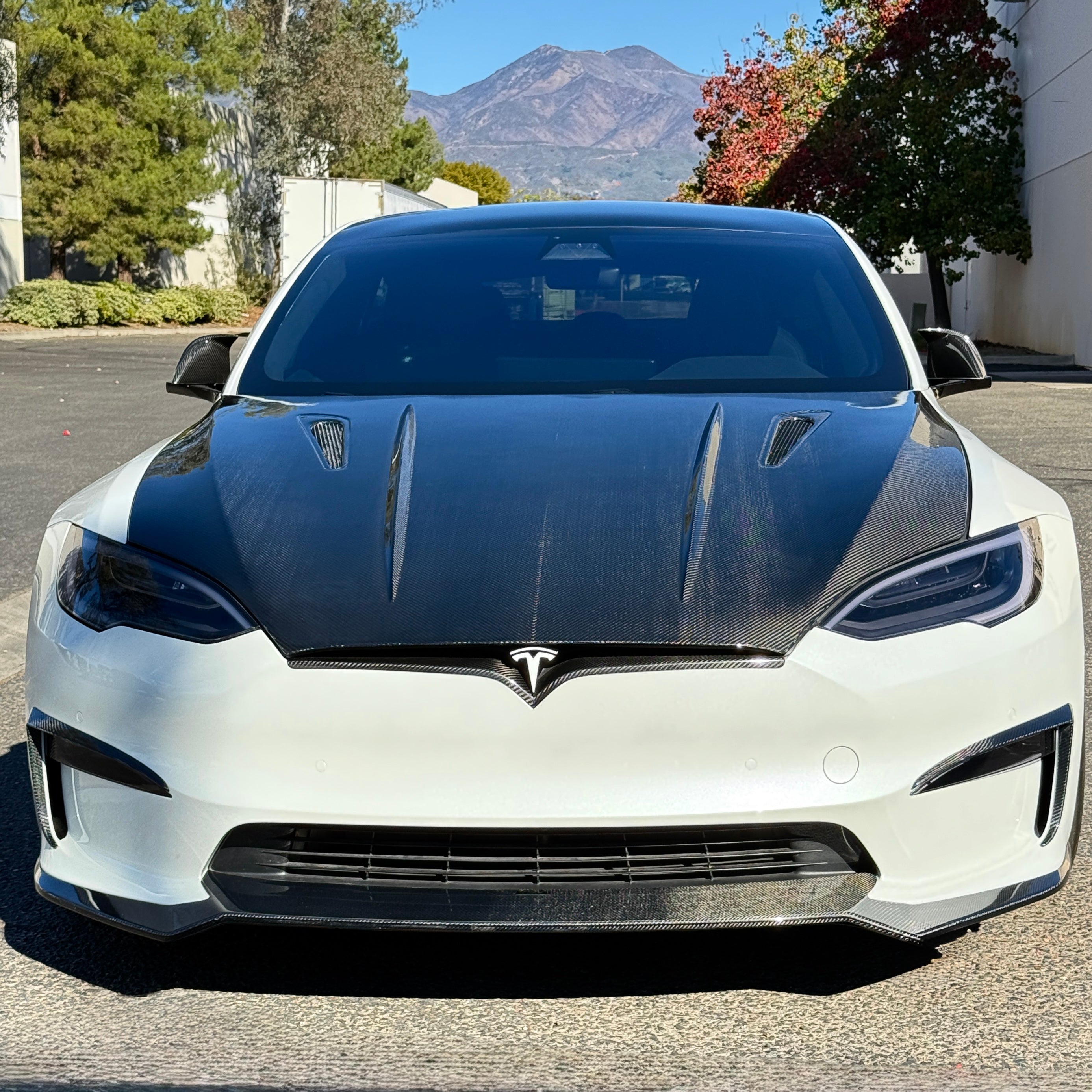 2021+ | Model S Viento Robot Hood - Dual Layer with Xpel Clear Bra - D ...