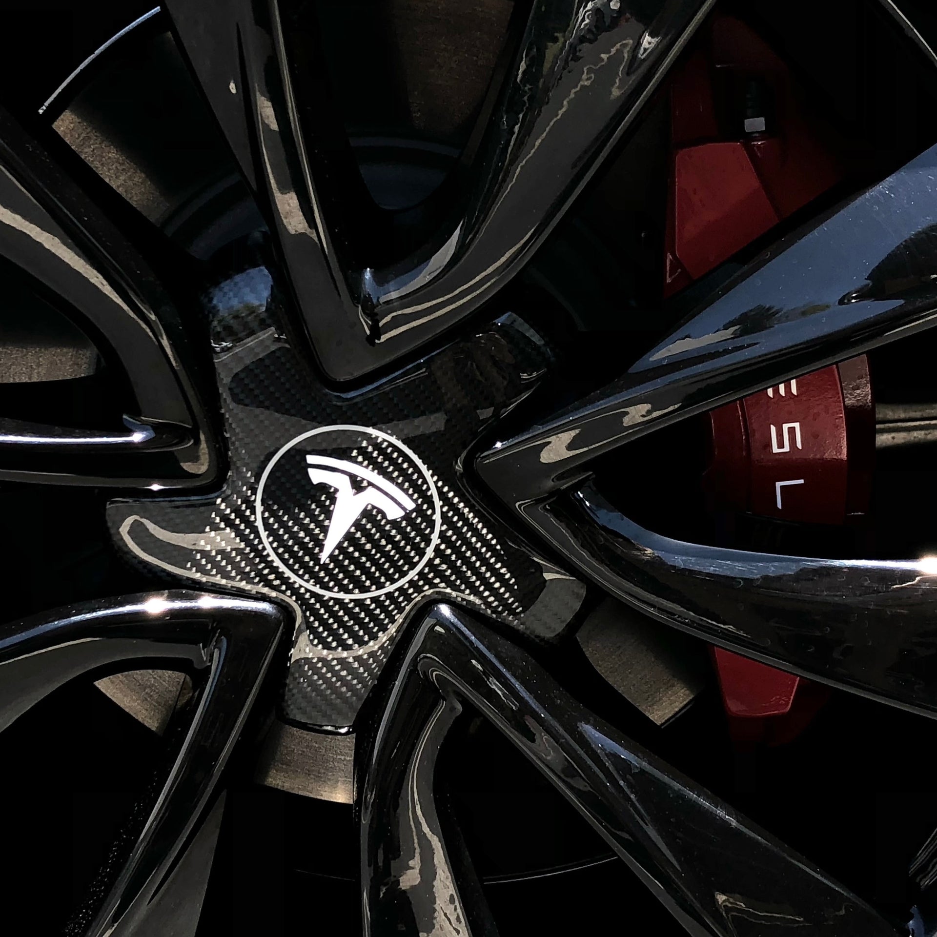 Model 3 - 19" Sport Center Wheel Hubs, Real Molded Carbon Fiber (Set o ...