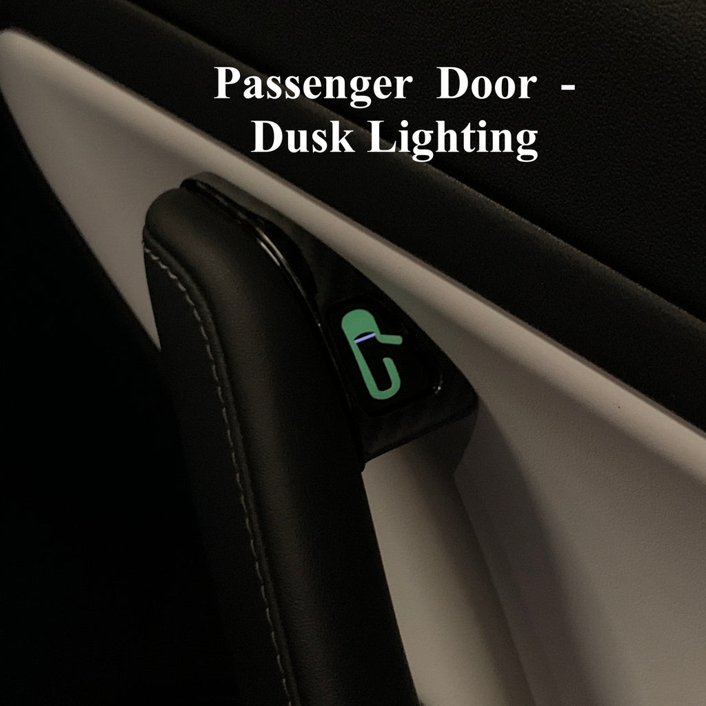 Model 3 & Y Unlock Door Switch Decals - Night Glowing or White – RPM ...